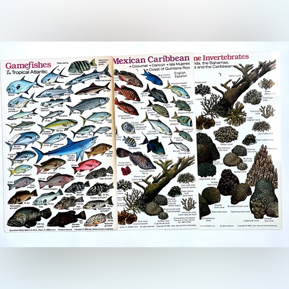 Seahawk Press | Art | Laminated Charts Of Tropical Fish Caribbean And ...